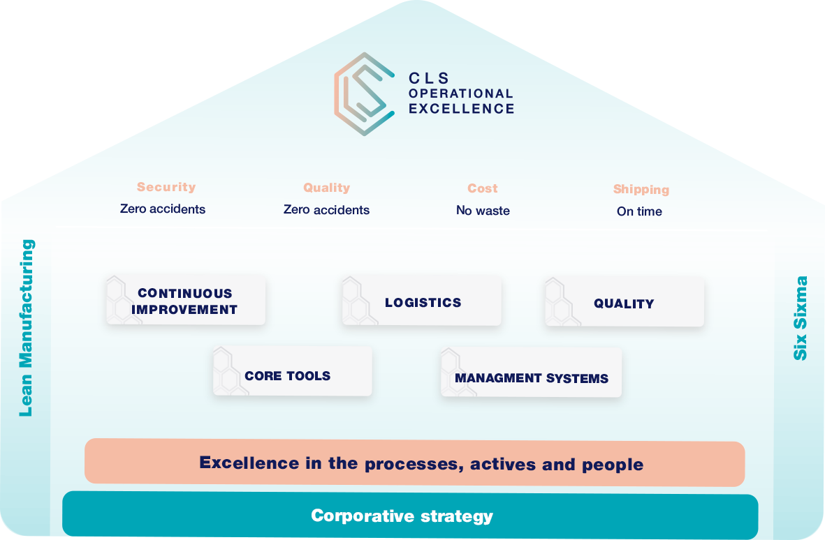 CLS Operational Excellence - Consultoría & Tercería